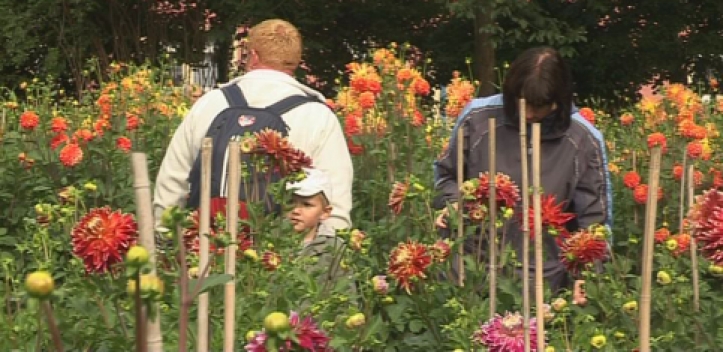 Stadtverwaltung Gera sucht Partner für Feste - Jena TV - Sehen, was bewegt. Stadtverwaltung Gera sucht Partner für Feste - Jena TV - Sehen, was bewegt.